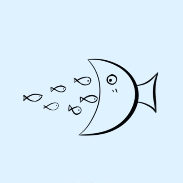 Easy Fish Drawing | Fun and Best Step-by-Step Guide in 2025